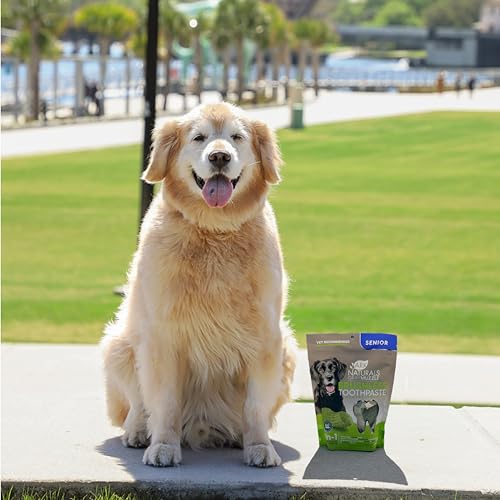 Ark Naturals Gray Muzzle Brushless Toothpaste, Senior Dog Dental Chews for Large Breeds, Vet Recommended for Plaque, Bacteria & Tartar Control, 1 Pack