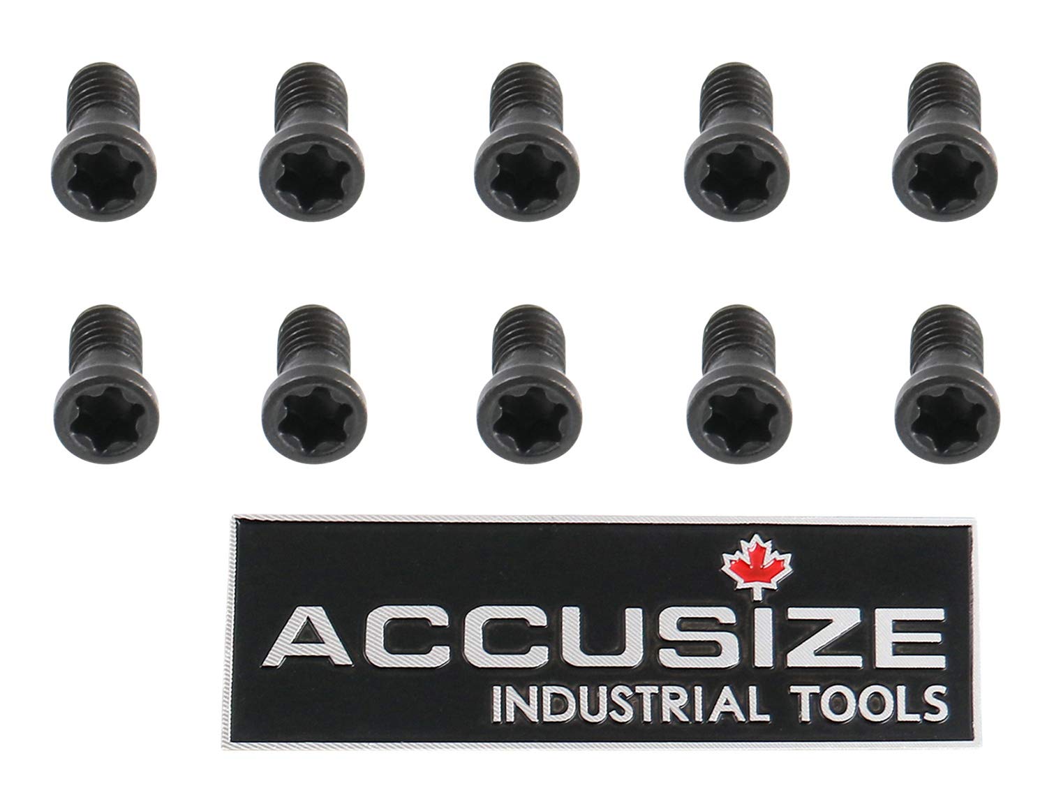 Accusize Industrial Tools M2.5 by 6 Replacement Screws for Indexable Face Mill and End Mills, 10 Pc, 0046-0910x10