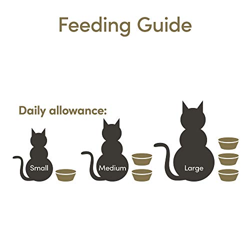 Applaws Natural Wet Cat Food, 18 Pack, Limited Ingredient Food for Cats, Tuna Flakes with Shrimp in Gravy, 2.12oz Pots