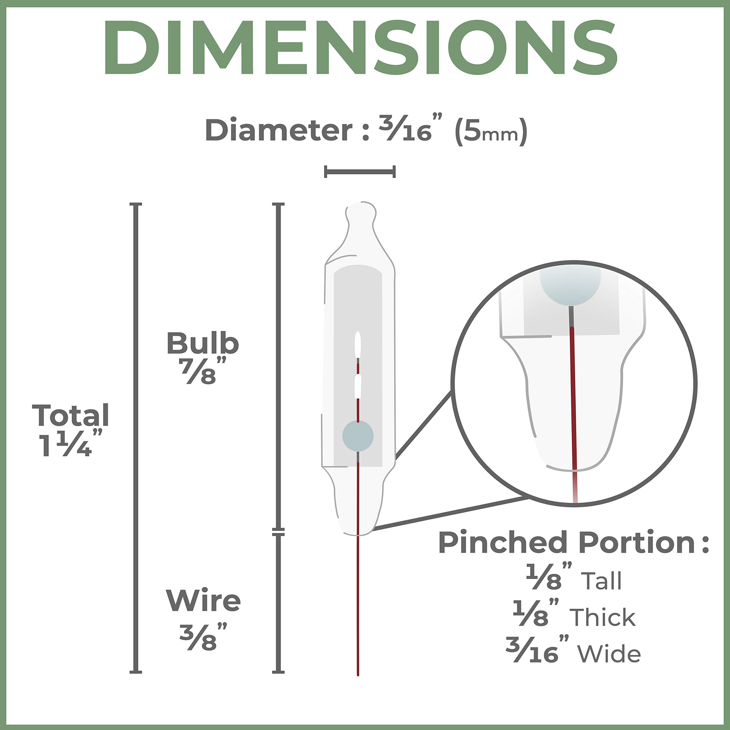 612 Vermont 6 Volt Mini Christmas Replacement Bulbs for Incandescent String Lights, Pinched Base, 50 Count, 0.48 Watt, 80 mA (Clear)
