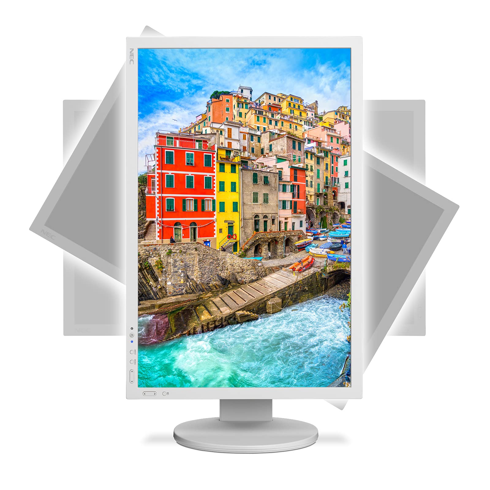 24IN WS LCD 1920X1200 PA243W DP