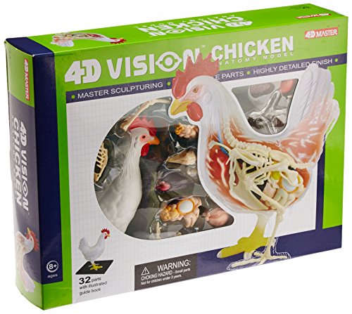 4D Master Vision Chicken Skeleton & Anatomy Model Kit, One Color