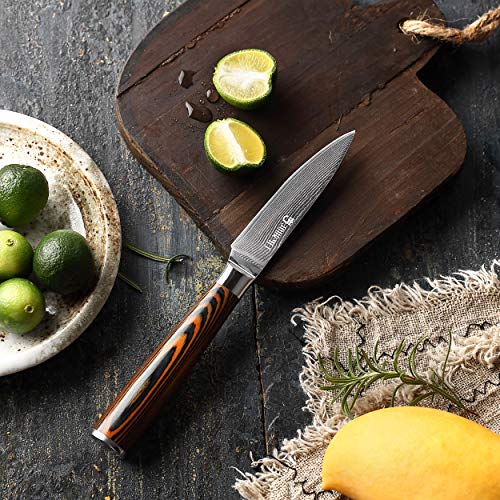 JOURMET 3-1/2" Damascus Paring Knife with Japanese VG10 Super Steel Core, Professional 67-layer Handmade PAKKA Wood Handle with S/S 430 Bolster