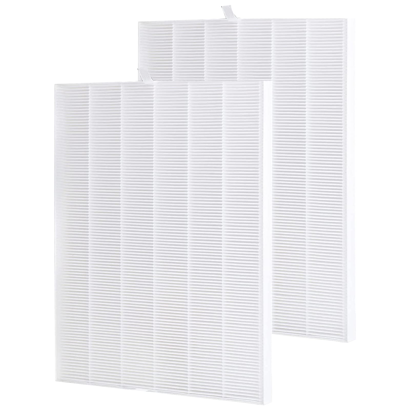 116130 True HEPA Replacement Filter H Compatible with Winix 5500-2 Air Purifier and Models AM80, True HEPA Filter only 2 Pack
