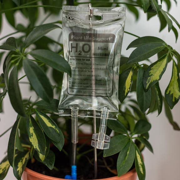 Bubblegum Stuff - Mini Plant Life Support Drip Irrigation Device For House Plants | Automatic Watering System | 3.5 Fluid Ounces - Plant Waterer For Indoor PlantsâŠ