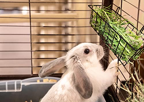 2 Pack Hay Feeder with Two Extra Hooks for Rabbit, Guinea Pig, Bunny, Chinchilla, Heavy Duty Metal Rack Hay Holder