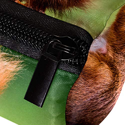 Squirrel Eat Nut in Wild Nature Pattern Pencil Bag Pen Case Stationary Case Pencil Pouch Desk Organizer Makeup Cosmetic Bag for School Office