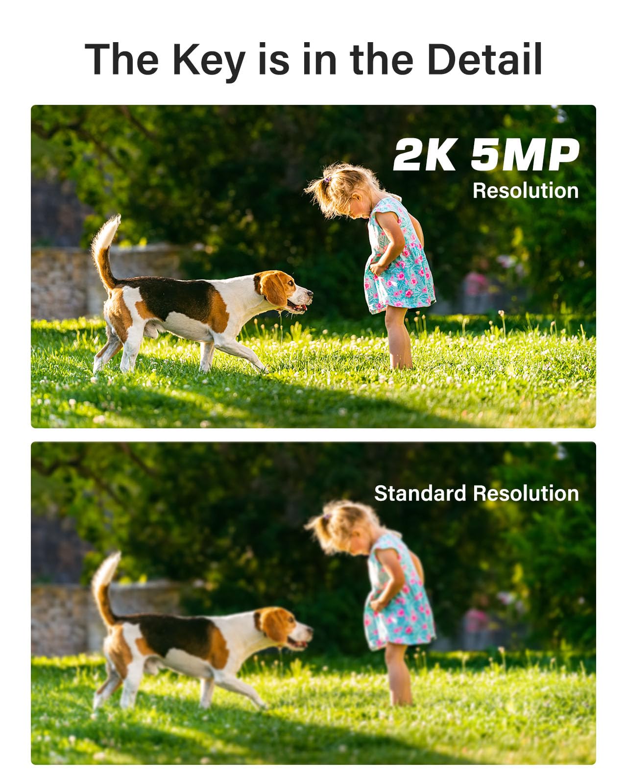 ANNKE 5MP Home Security Camera System with AI Human/Vehicle Detection, 8CH H.265+ DVR Recorder with 4X 5MP (2560TVL) Wired IP67 Outdoor CCTV Cameras, 100 ft EXIR Night Vision with Smart IR & WDR
