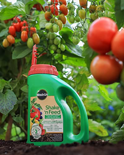 2.04kg Shake n Feed Flowering Fruits and Vegetables Plant Fertilizer