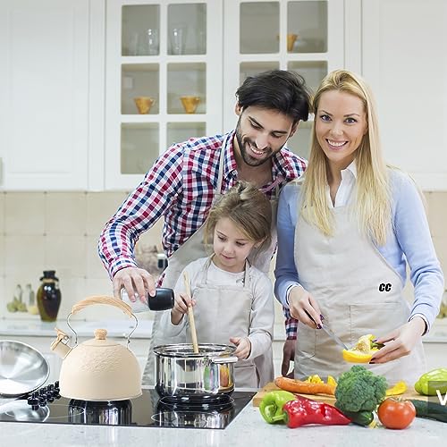 2.5L Stainless Steel Tea Kettle Teapot with Foldable Anti-Heat Handle,for Gas Hobs, Induction and Electric Hobs▂19 * 23cm/7.48"*9.06"
