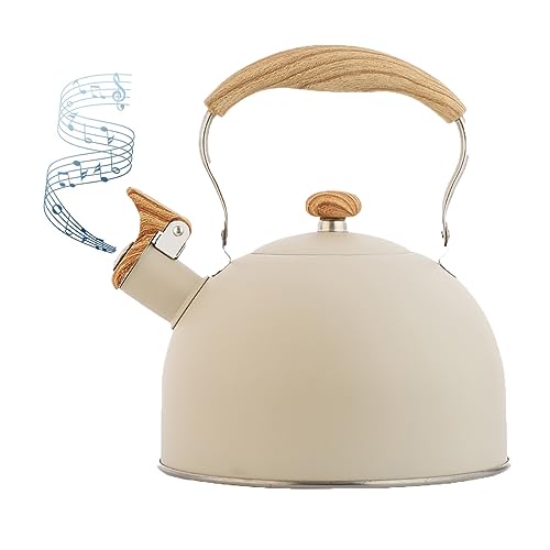 2.5L Whistle Gas Stove Top Kettles, Stainless Steel Whistling Kettle,with Anti-Scald Handle, Suitable for All Heat Source▂19 * 21CM/7.5"*8.3"