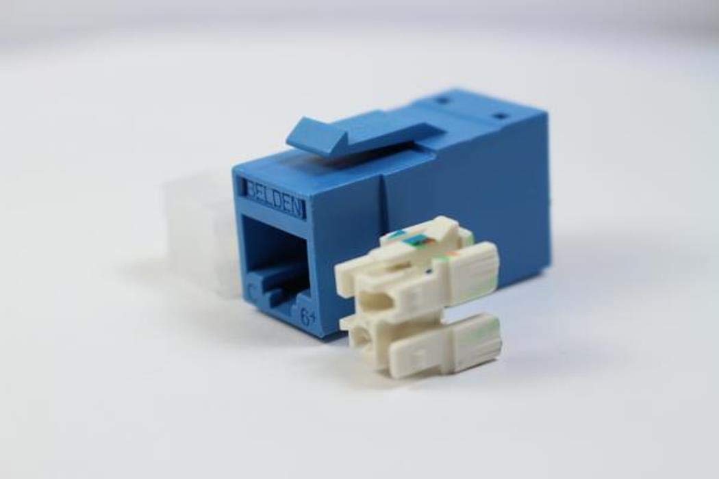Belden RV6MJKUBL-B24 CAT6+ Revconnect Modular Jack Blue Pack of 24