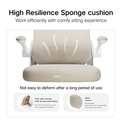 Hbada Ergonomic Office Chair with Up&Down Adjustable Lumbar Support and Flip Up Arm, Swivel Computer Desk Chair with Adjustable Height, Breathable Mesh Office Chair with PU Wheels, Gray