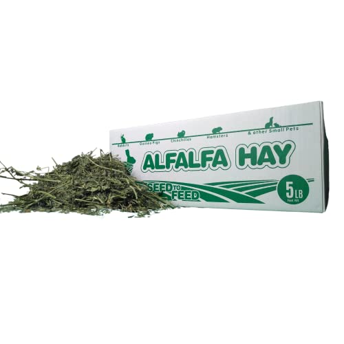 High Desert Alfalfa Hay - Dried Natural Alfalfa Hay for Rabbits, Guinea Pigs, Chinchillas, and Ferrets - Protein and Fiber Rich Food for Small Animals - Healthy Pet Food