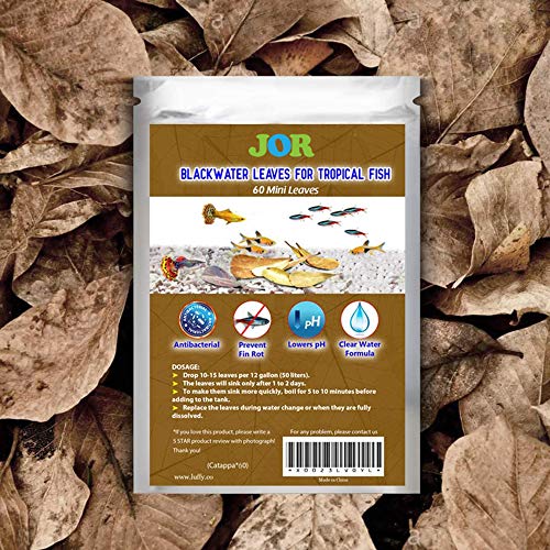 JOR 60 Pack Mini Catappa Indian Almond Leaves for Neon Tetra, Dried Leaf for Spawning, Perfect Hiding Spot, Create Brackish Habitat for Tropical Fish Like Guppy, Platy, Tiger Barb, Discus, Gourami