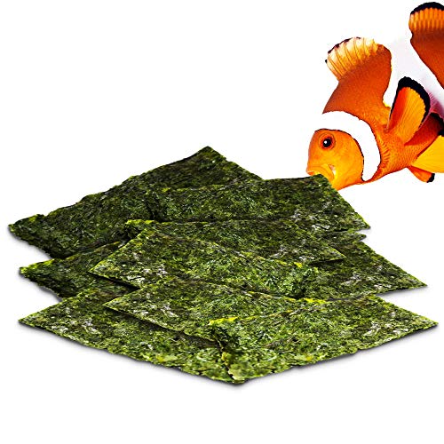 JOR Seaweed Fish Super Snack, Loved by Tangs, Angels, Bettas, Plecos, Hermit Crabs, and Snails, Dense in Vitamins, Beneficial Food Treat Supplement, 1 oz.