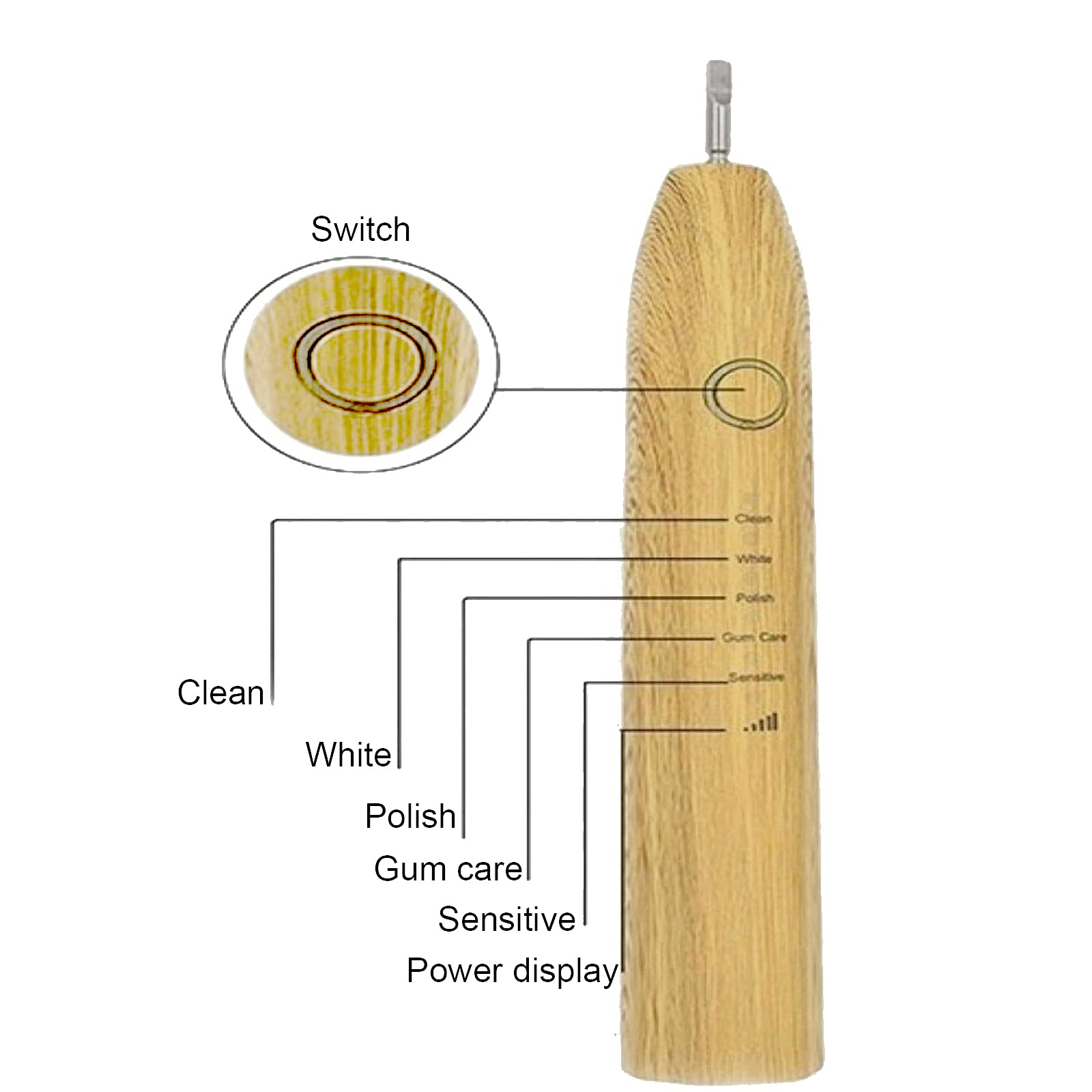 Circle Elephant Biodegradable Electric Natural Bamboo Sonic Toothbrushes Have Rechargeable&Replaceable Bamboo Toothbrush Heads, Threaded BPA-Free Soft Bristles in Color. Perfect Trendy Giftset.