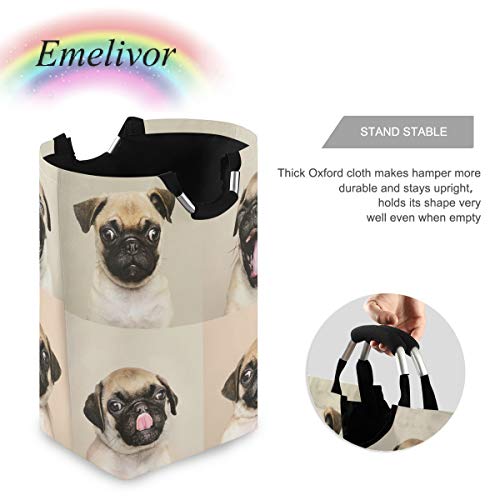 Emelivor Laundry Baskets with Handles - Cute Pug Puppy Large Laundry Hamper Collapsible Waterproof Laundry Bins for Home Farmhouse