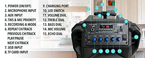 Axess Portable Wireless Bluetooth Speaker — 8 Inch Woofer & 1.5" Tweeter, TWS Link+, Wireless Microphone FM Radio Aux USB and Mic Inputs, Stereo Sound System Speakers with LED Lights Model PABT6038