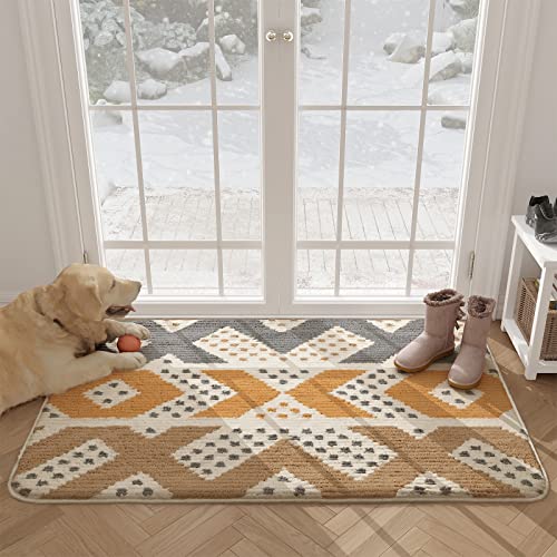 Color G Door Mats , 24"x36" Front Door Mat for Entryway Indoor, Non Slip Washable Entry Rugs for Inside House 2x3, Absorbent Muddy Mat Floor Mat