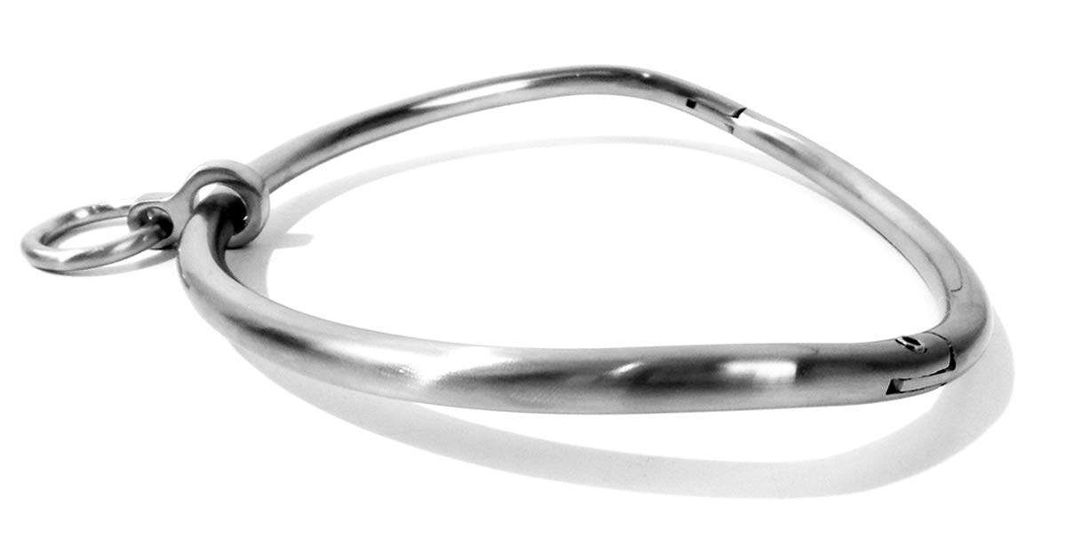 16" Locking Eternity Collar 8mm Satin Stainless Curved Neck Choker Collar w/Ring