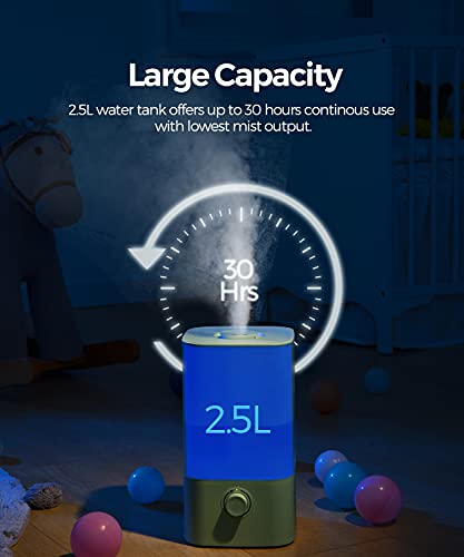 raydrop Cool Mist Humidifier Diffuser, 2.5L Essential Oil Diffuser, Top Fill Humidifier for Bedroom, Home and Office, Baby Humidifier with Adjustable Mist Output, Sleep Mode, Auto Shut Off