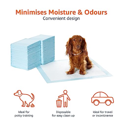 Amazon Basics Dog and Puppy Pee Pads with Leak-Proof Quick-Dry Design for Potty Training, Standard Absorbency, Regular Size, 22 x 22 Inches, Pack of 100, Blue & White
