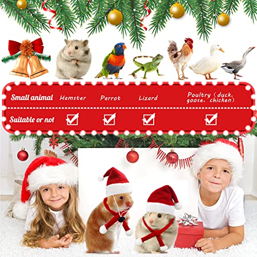 24 PCS Christmas Pet Chicken Hat with Adjustable Chin Strap,Mini Red Santa Hat and Scarf Pet Rabbit Hats with Scarf for Hamster Guinea Pig Chinchilla Hedgehog Lizard Bearded Dragon Xmas.
