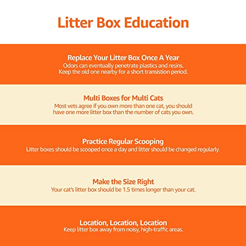 Amazon Basics No-Mess Hooded Cat Litter Box, Large, Multicolor, 24 in x 18 in x 17 in