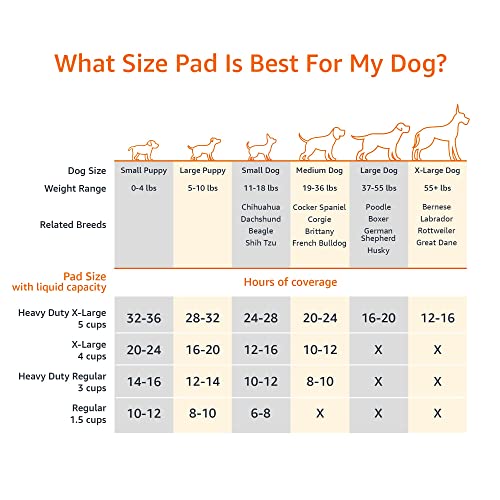 Amazon Basics Odor-Control Carbon Dog and Puppy Training Pads, Leakproof 5-Layer Pee Pads for Potty Training, XL, 28 x 34 Inches, Pack of 50, Gray