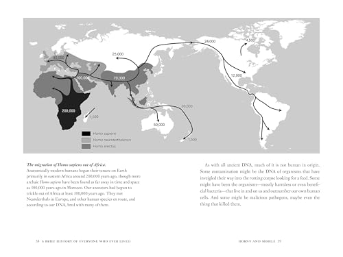 A Brief History of Everyone Who Ever Lived: The Human Story Retold Through Our Genes