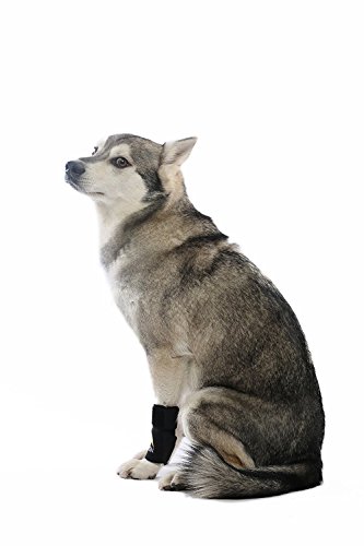 AGONĀ® Dog Canine Front Leg Brace Paw Compression Wraps with Protects Wounds Brace Heals and Prevents Injuries and Sprains Helps with Loss of Stability Caused by Arthritis (Small/Medium)