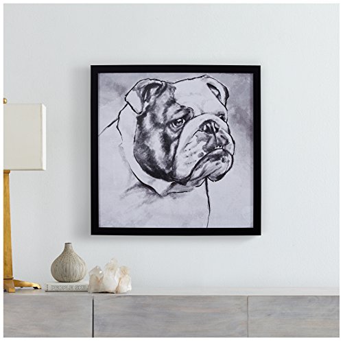Amazon Brand β Stone & Beam Modern Black and White Print Wall Art of English Bulldog, Black Frame, 22" x 22"