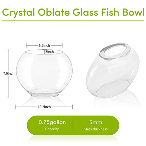 hygger Mini Glass Oblate Fish Bowl Kit, Small Fish Tank Comes with Blue Aquarium Decor Stones and Plastic Fan Branch Tree Ornament