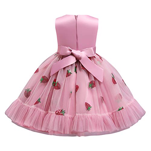 Baby Girls Sleeveless Floral Lace Shiny Strawberry Embroidery Princess Bridesmaid Dress for Baby Flower Ruffles Tulle Communion Baptism Holiday Dance Evening Short Gown Bean Pink 5-6X