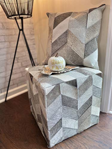 Noori Rug 1 Pillow, Cowhide Chevron Grey