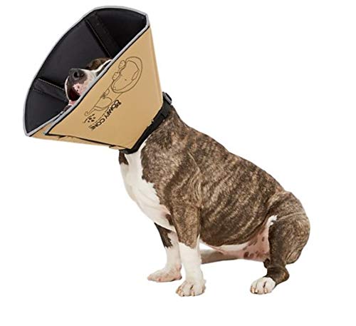 All Four Paws Comfy Cone Pet Cone for Dogs, Cats, Large, Tan - Comfortable Soft Dog Cone Collar Alternative for After Surgery, Wound Care, Spay, Neuter - Dog and Cat Recovery Collar