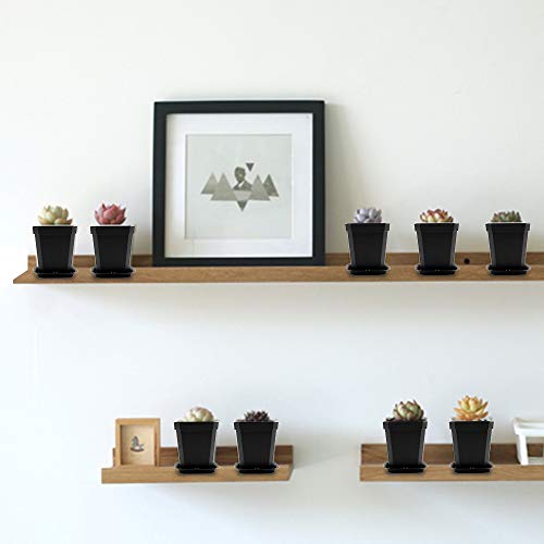 foxany 3" Nursery Pot, 30 Pcs Thick Plastic Plants Pots, Square Flower Planting Pots, Plant Seedling Pots, Seed Starting Pots with Saucers - Black 30 Pcs