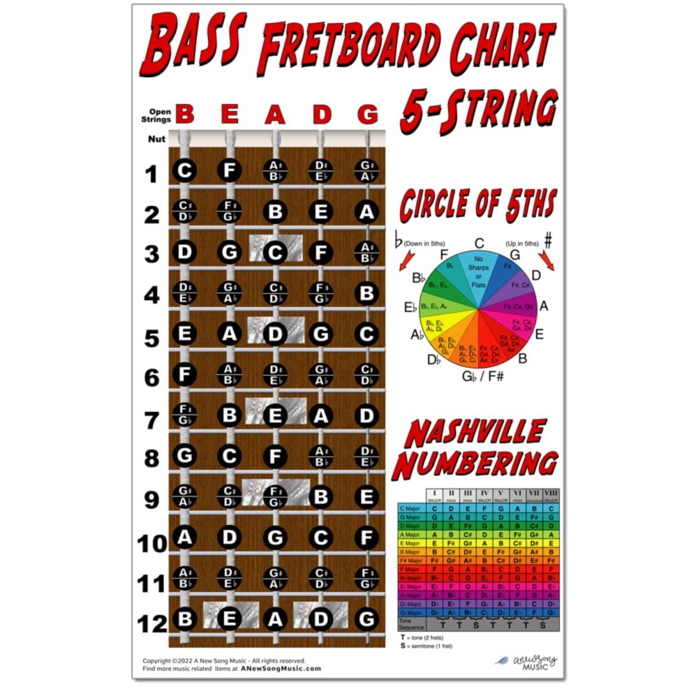 5 String Bass Fretboard Poster - Nashville Numbering System, Circle of 5ths, Notes Instructional Chart | A New Song Music | 11x17