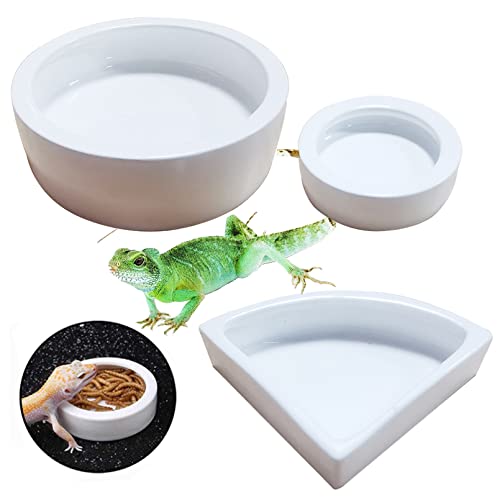 Reptile Food Water Bowl Set Lizard Feeder Ceramics Bowls Worm Live Fodder Container for Bearded Dragon Chameleon Lizard Hermit Crab Gecko Tortoise Spider Pet 3 Pieces