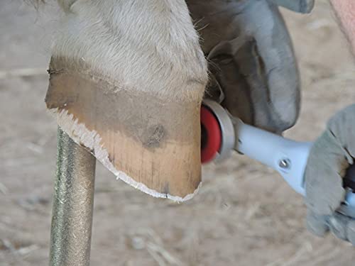 Basic Horse Hoof Trimmer Set โ Electric Plug in - 110 Volt - Accessories Included