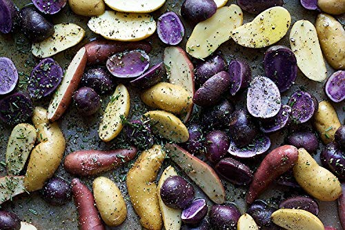 Simply Seed - 10 Piece - Fingerling Potato Seed Mix - Non GMO - Naturally Grown - Order Now for Spring Planting