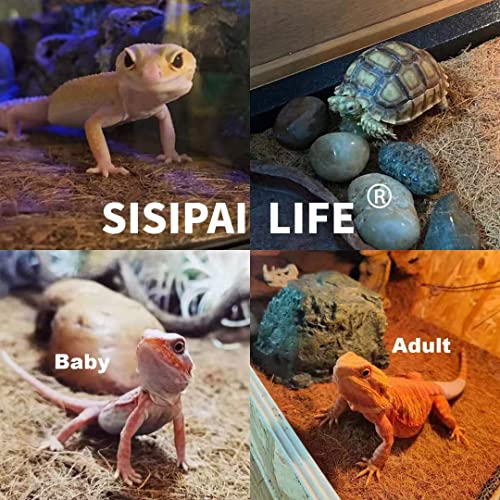 19.7"x11.8" Reptile Carpet Coconut Fiber, 2 Pack Reptile Terrarium Liner for Tortoise Bedding, Tortoise Carpet Mat Supplies for Pet Lizard, Chameleon, Bearded Dragon, Leopard Gecko, Iguana