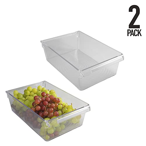 Kitchen Details 2 PK Stainless Lip Fridge & Freezer Organizer, Kitchen, Countertops, Cabinets, Pantry, Large 2 Pack Refrigerator Storage Bins, Super Clear