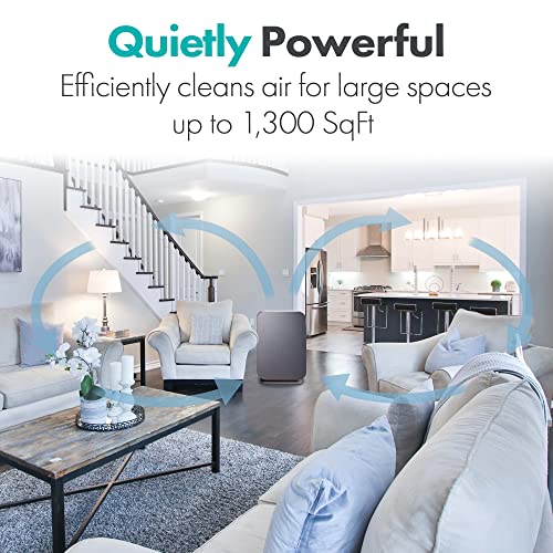Alen 75i Air Purifier, Quiet Air Flow for Extra-Large Rooms, 1300 SqFt, Air Cleaner for Allergens, Dust, Mold with Long Filter Life