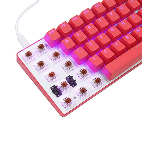 IEMUDJ CQ63 Mechanical Keyboard, Wired Bluetooth Gaming Keyboard, RGB Backlit, Brown Switch, Bluetooth 5.0, 63 Keys Layout, for Desktop, Laptop, Mac, Tablet, Smartphone, Gaming and Office