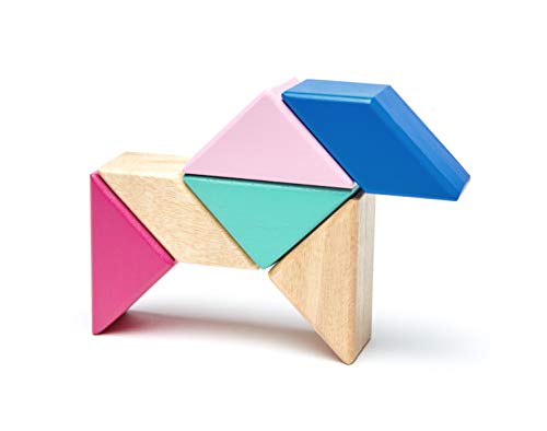 6 Piece Tegu Pocket Pouch Prism Magnetic Wooden Block Set, Blossom