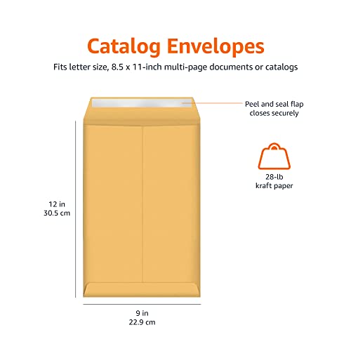 Amazon Basics Catalog Mailing Envelopes, Peel & Seal, 9x12 Inch, Brown Kraft, 100-Pack