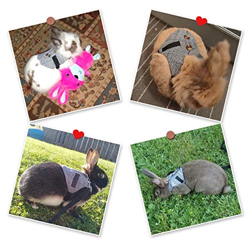 Cute Rabbit Harness and Leash for Walking,No Pull Adjustable Formal Suit Style Plaid Stripe Harness for Rabbit Kitten Chinchilla, Squirrel, Marten & Mink Small Animal(2 Pcs) (M)