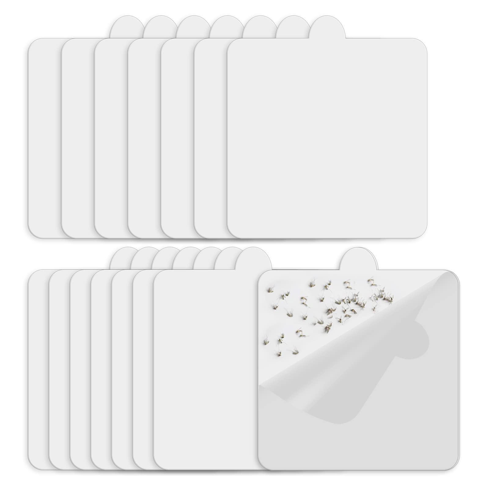 15 PCS 6" Flea Trap Refills Compatible with Terro T230 T231 Indoor Electric Flea Light Flea Trap and Flea Killer, Flea Trap Refill Discs Replacement Glue Boards